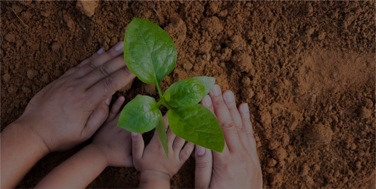 Home page - Cultivar